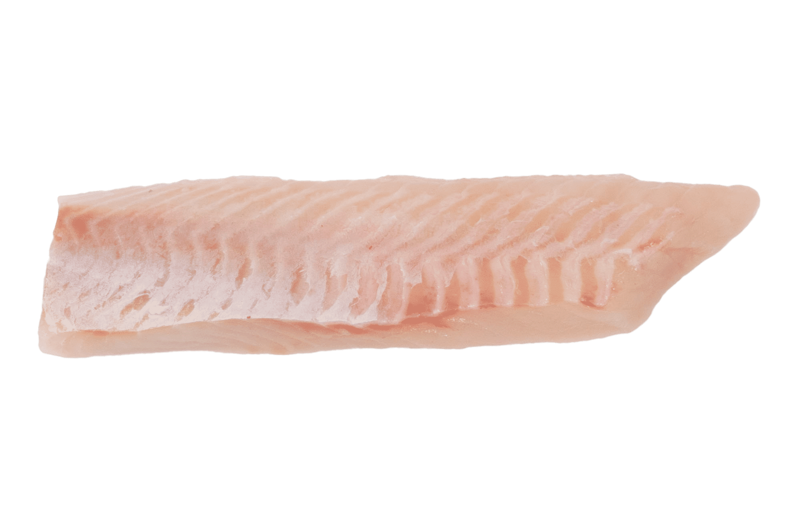 Redfish loins - Dayseaday