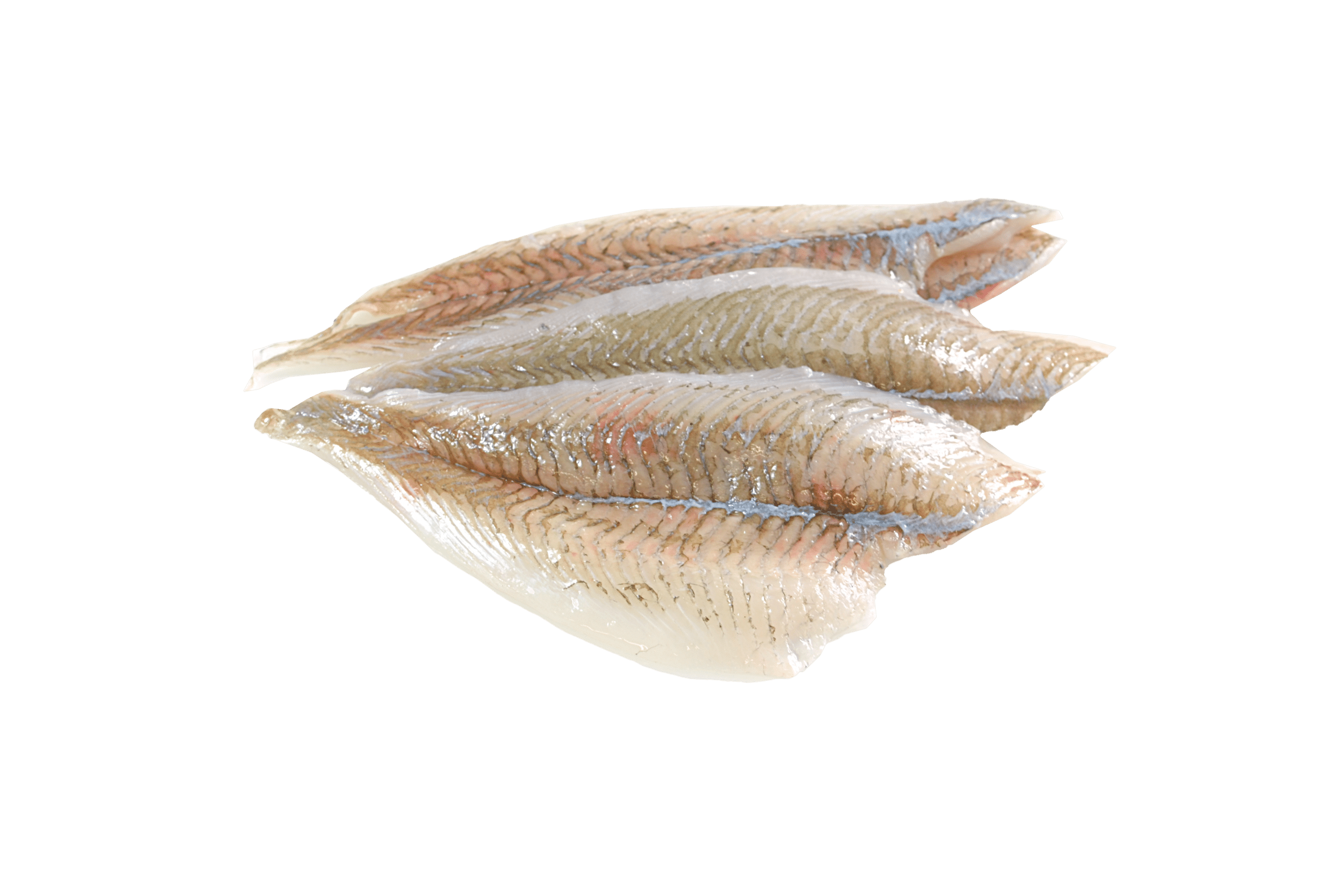 Plaice fillet - Dayseaday