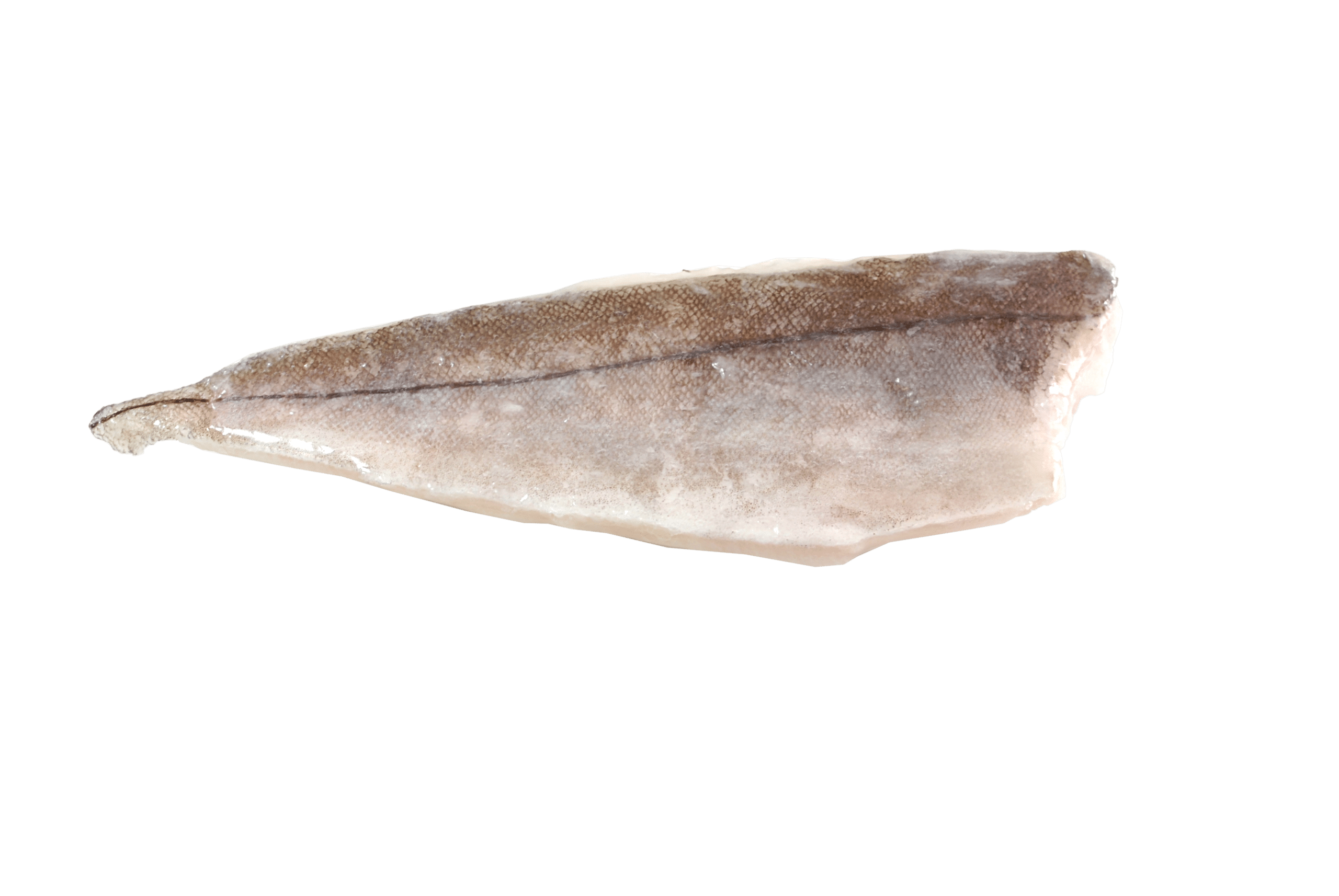 Haddockfillet - Dayseaday